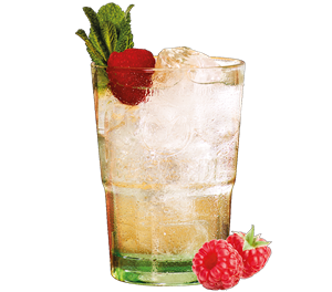 Bacardi Razz & Up | Mitra drankenspeciaalzaken